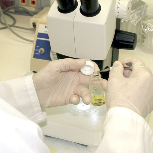 Scientific Advisory Board San Diego Biomedical Research Institutesan